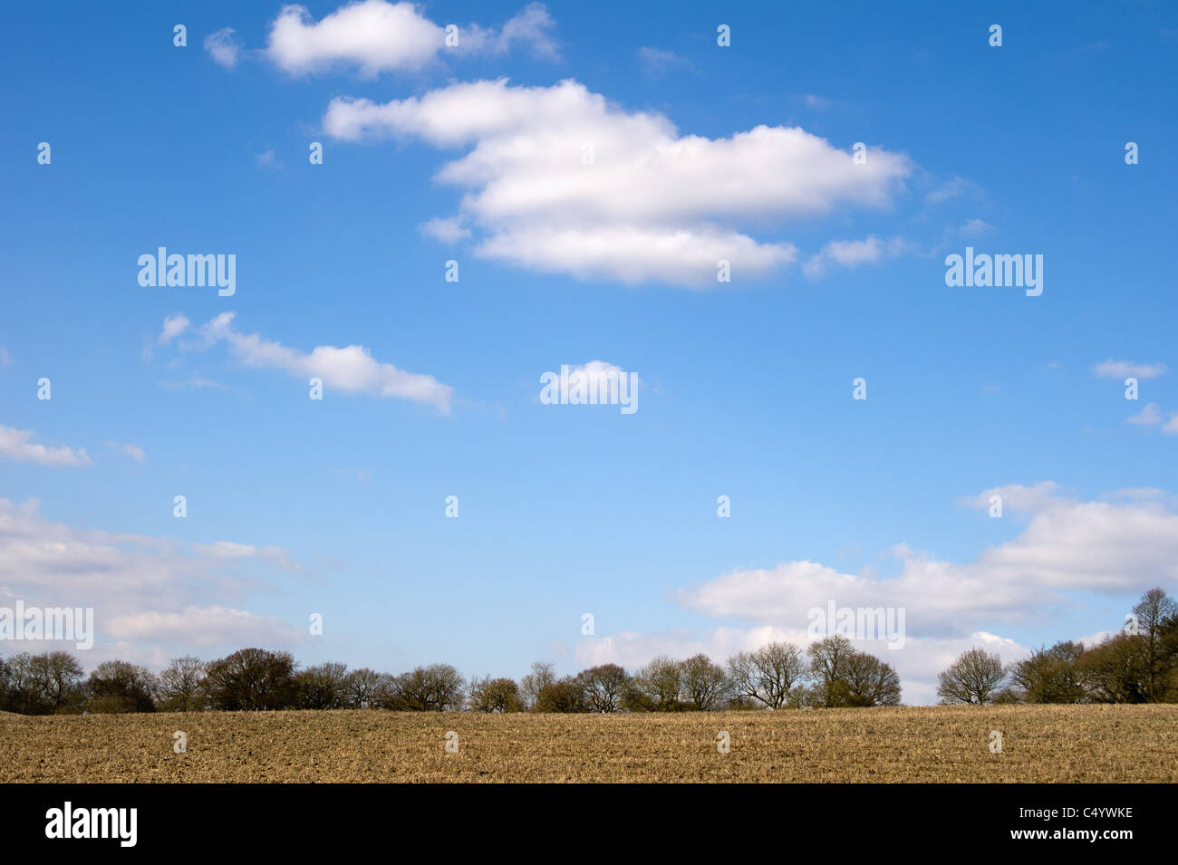 farm crops field agriculture warwickshire uk england Stock Photo - Alamy