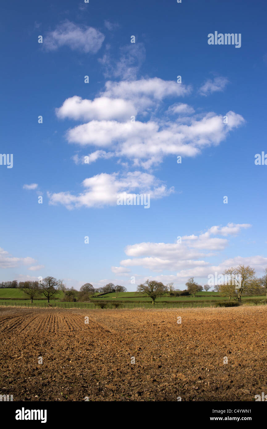 farm crops field agriculture warwickshire uk england Stock Photo - Alamy