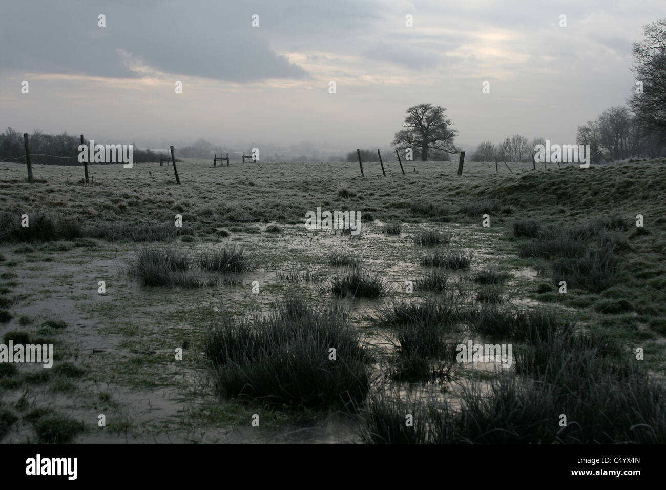 Misty frozen field hi-res stock photography and images - Alamy