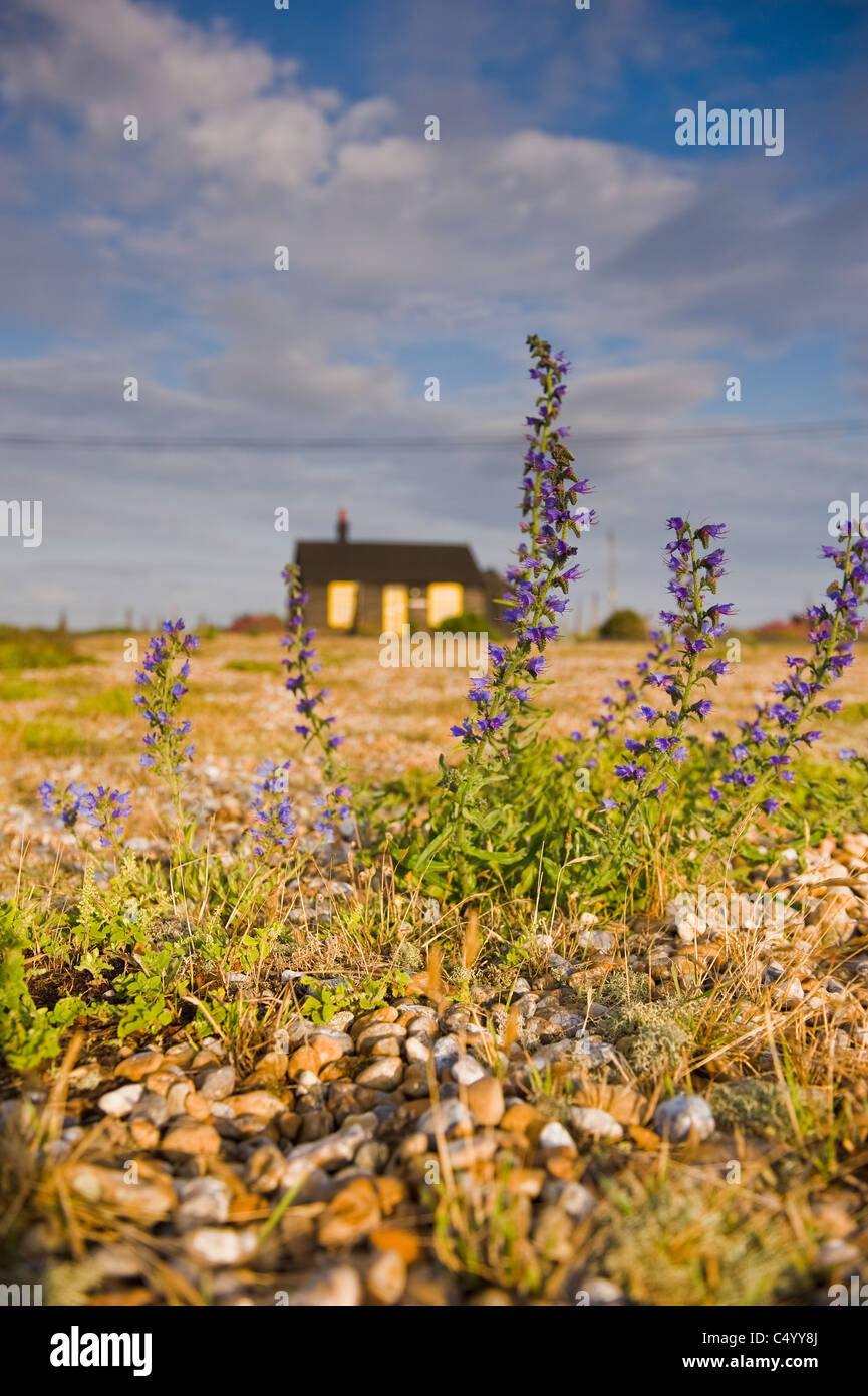 Dungeness coastline hi-res stock photography and images - Alamy