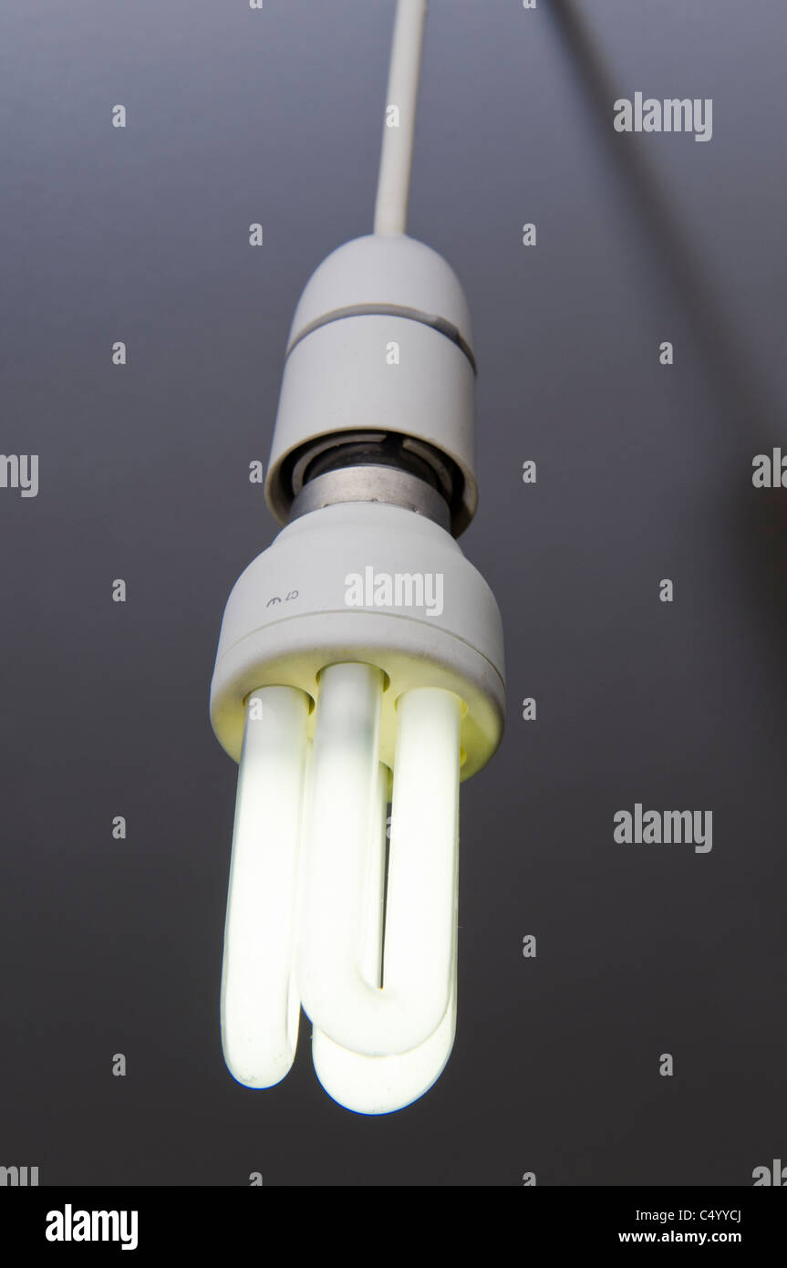 "energy saving light bulb Stock Photo - Alamy