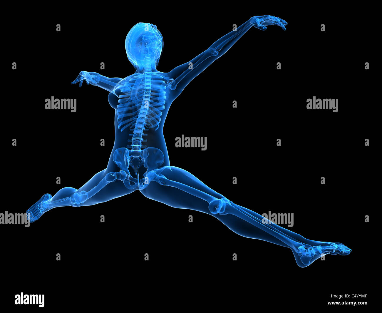 Female dancing skeleton Stock Photo - Alamy