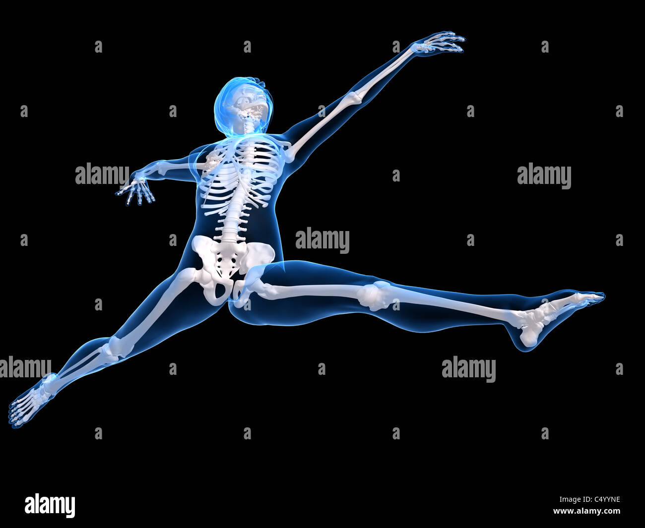 Skeleton Dancing High Resolution Stock Photography and Images - Alamy