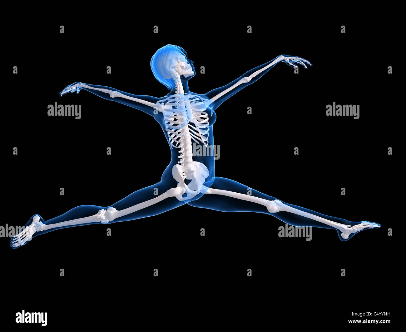 Female dancing skeleton Stock Photo - Alamy