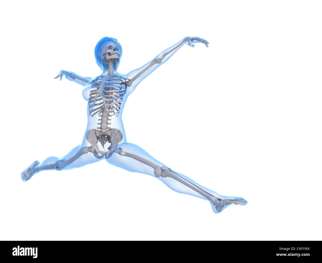 Female dancing skeleton Stock Photo - Alamy