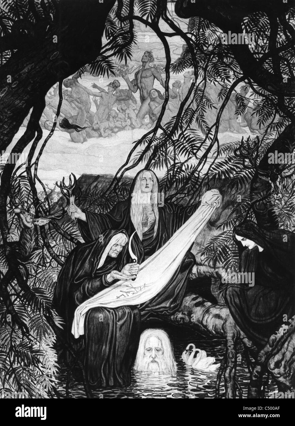 Ygdrasil hi-res stock photography and images - Alamy