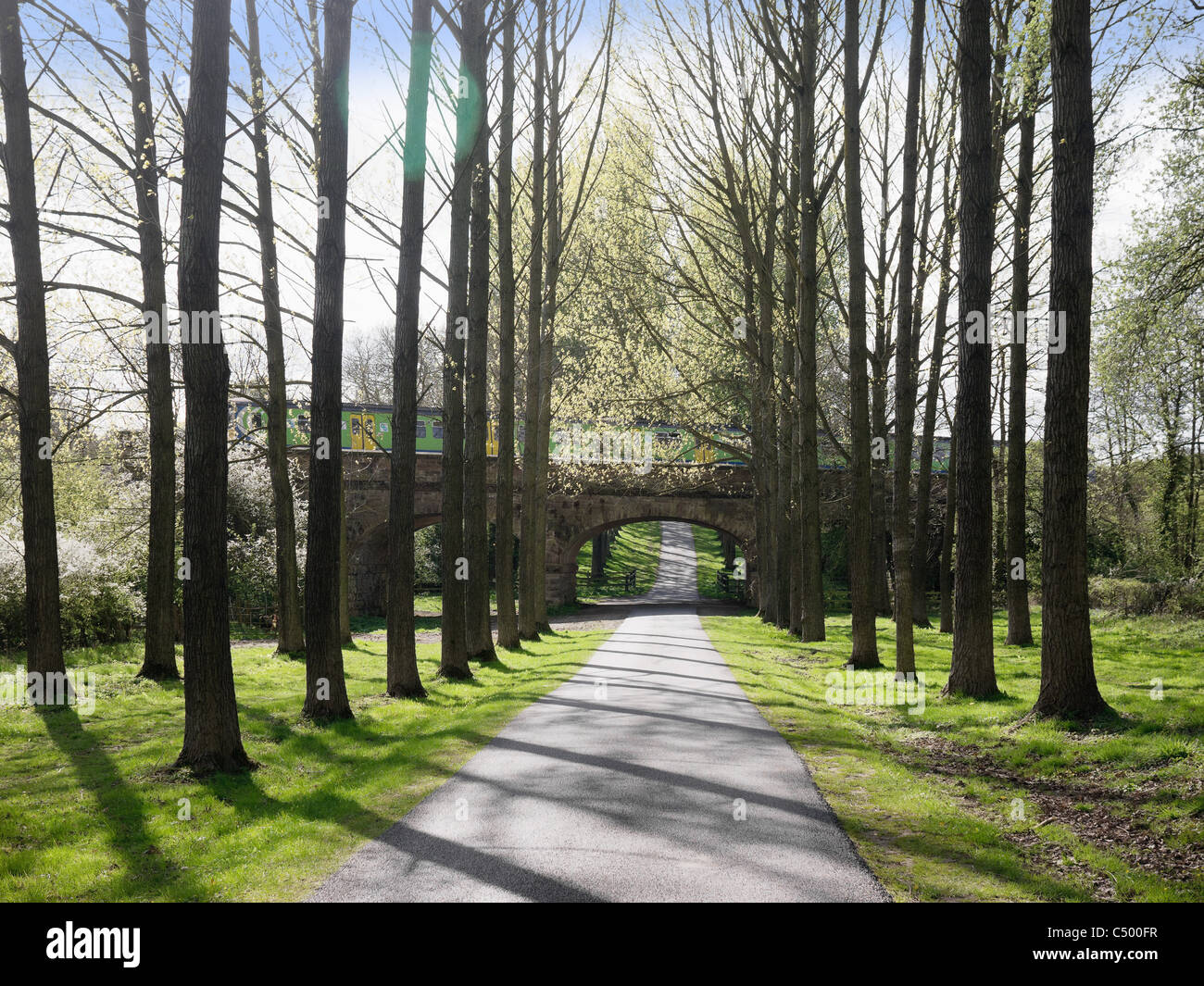 tree lined road lane umberslade warwickshire Stock Photo - Alamy