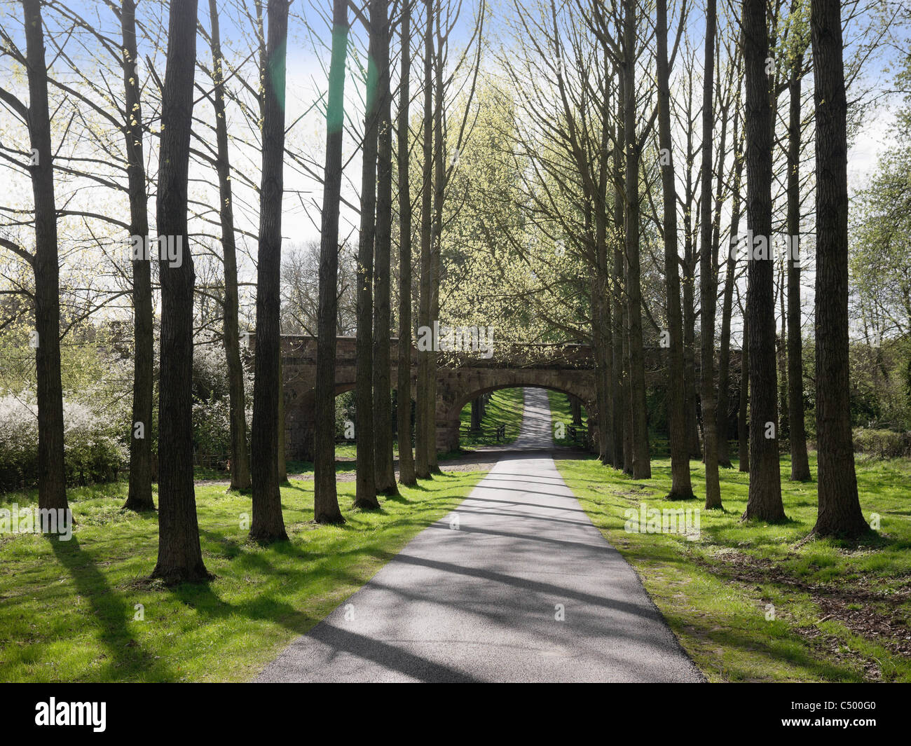 tree lined road lane umberslade warwickshire Stock Photo - Alamy
