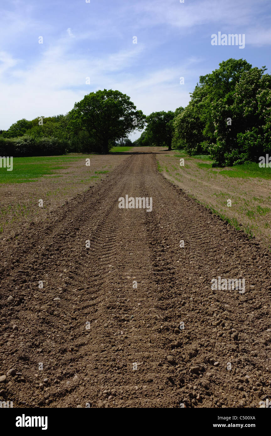 farm crops field agriculture warwickshire uk england Stock Photo - Alamy