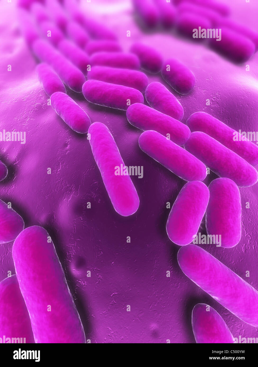 Bacteria human body hi-res stock photography and images - Alamy