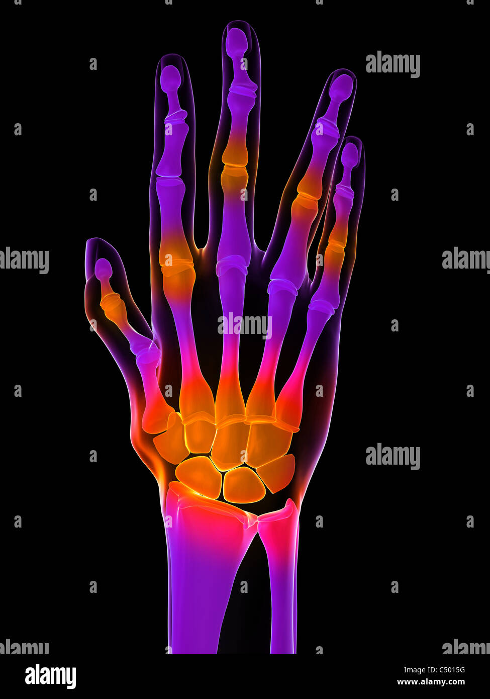 Finger joint hi-res stock photography and images - Alamy