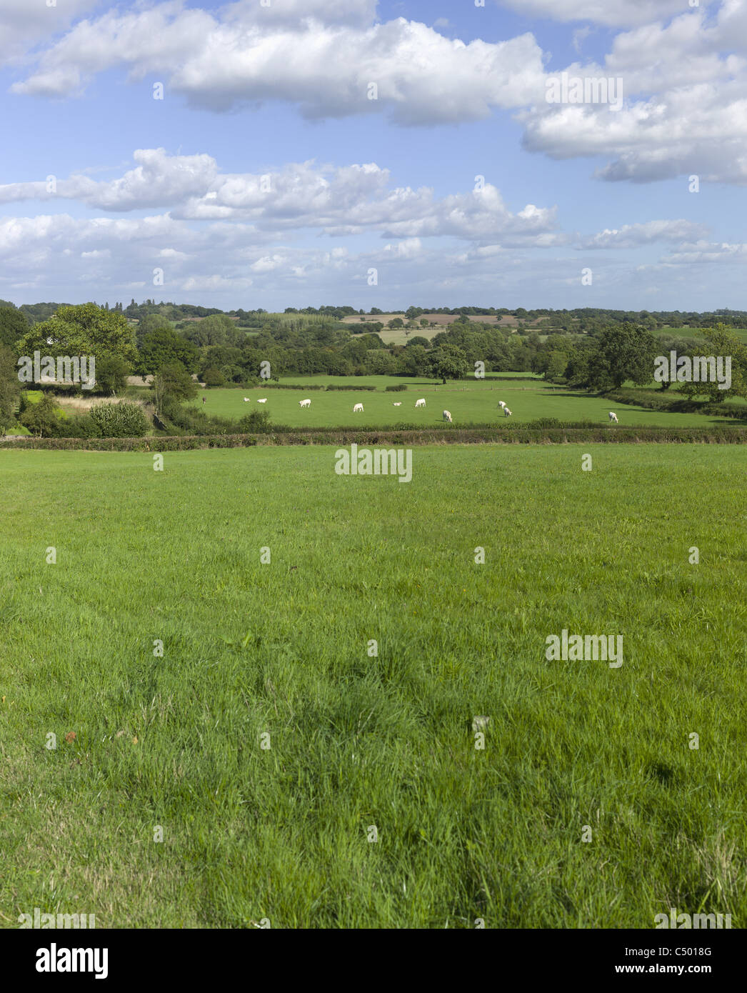 ploughed field farm agriculture warwickshire england uk Stock Photo - Alamy