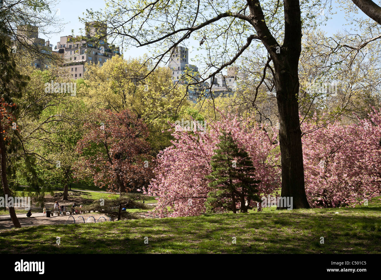 Green springtime paths hi-res stock photography and images - Alamy