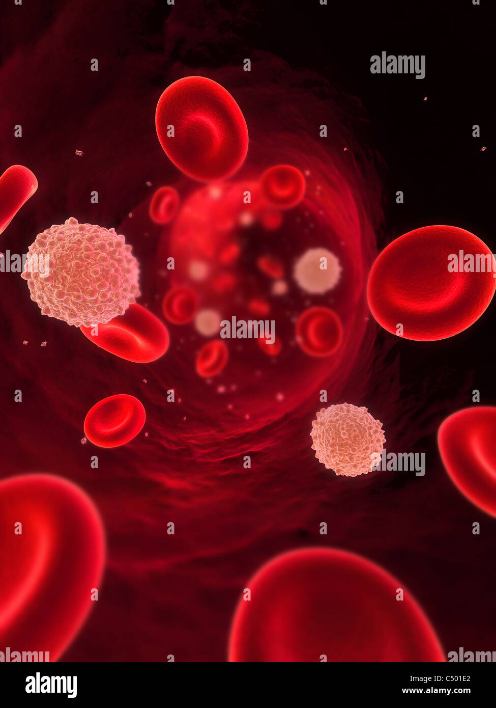 Artery vein blood hi-res stock photography and images - Alamy