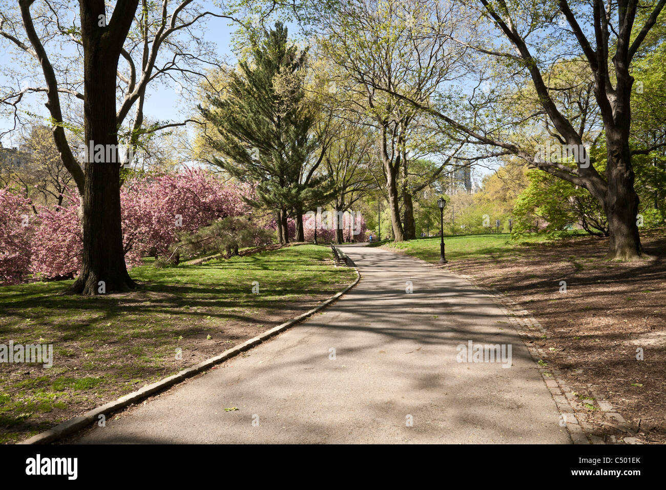 Springtime in Central Park, NYC Stock Photo - Alamy