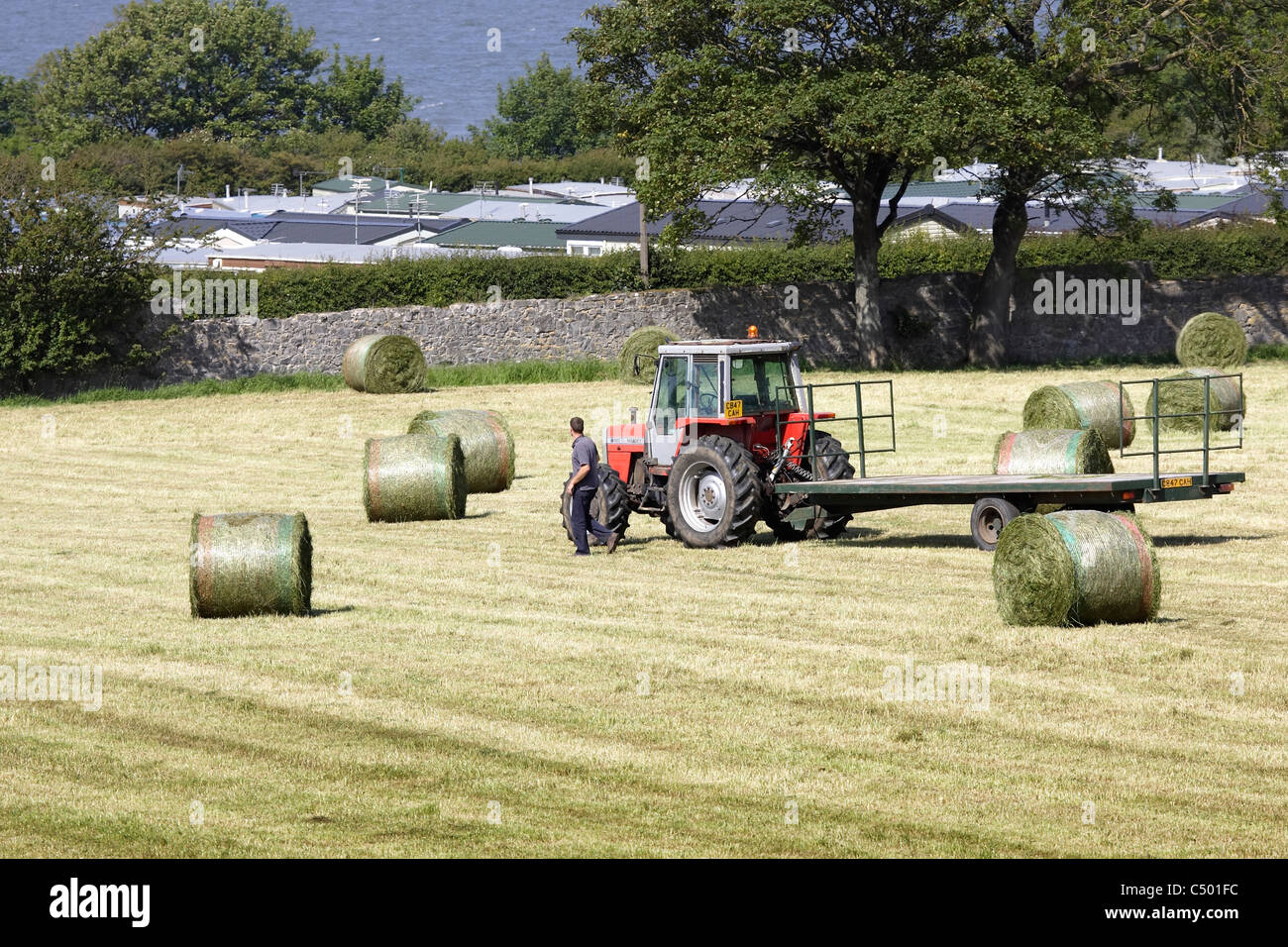 Trailer collecting silage hi-res stock photography and images - Alamy