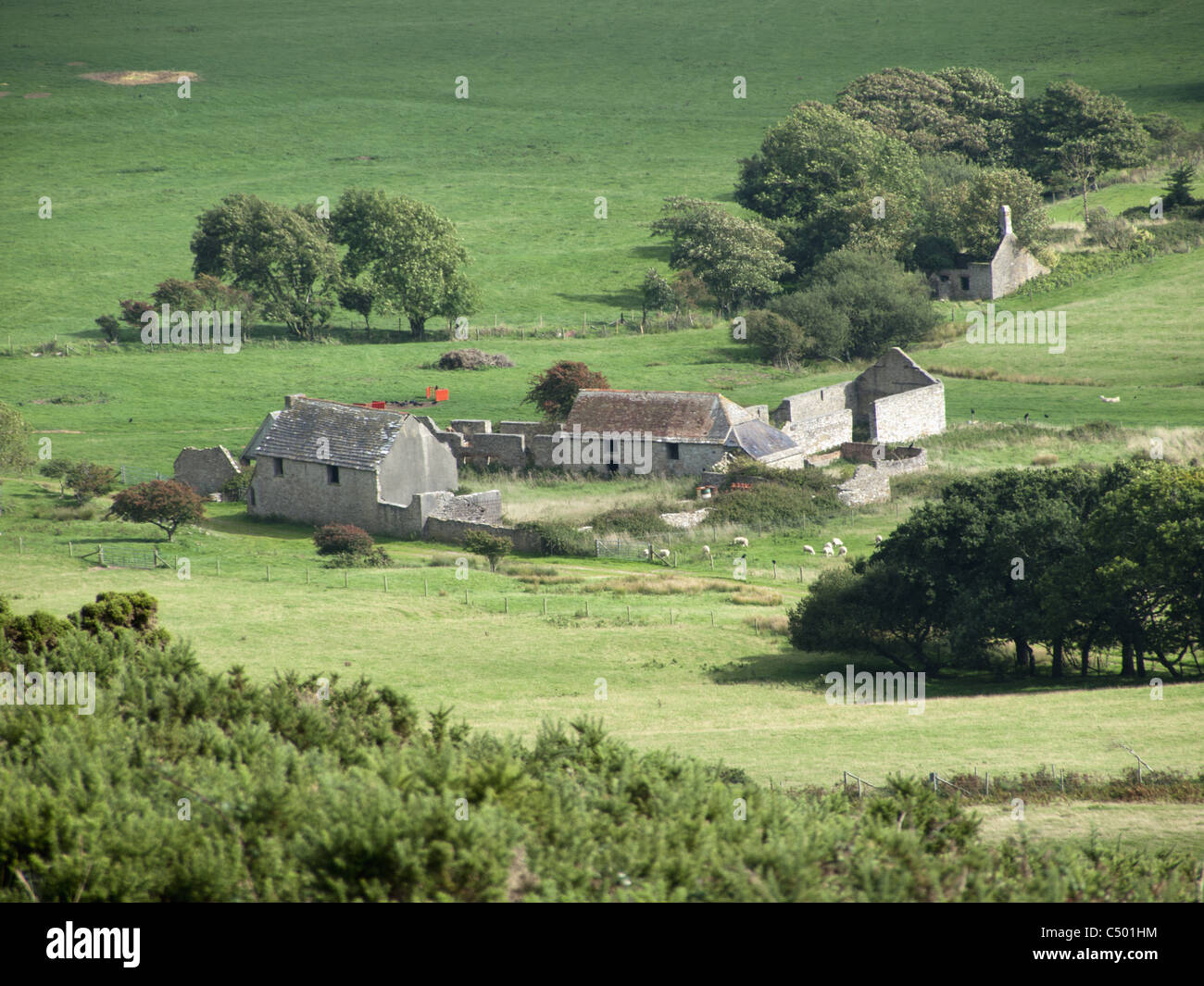Whiteways hi-res stock photography and images - Alamy