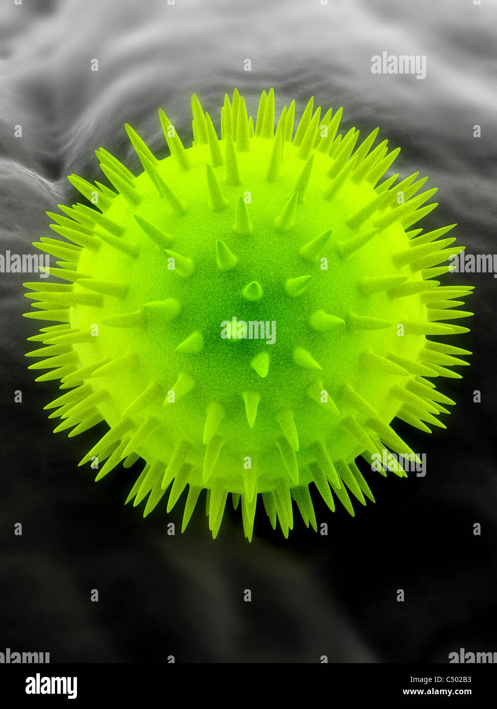 Pollen close up Stock Photo - Alamy