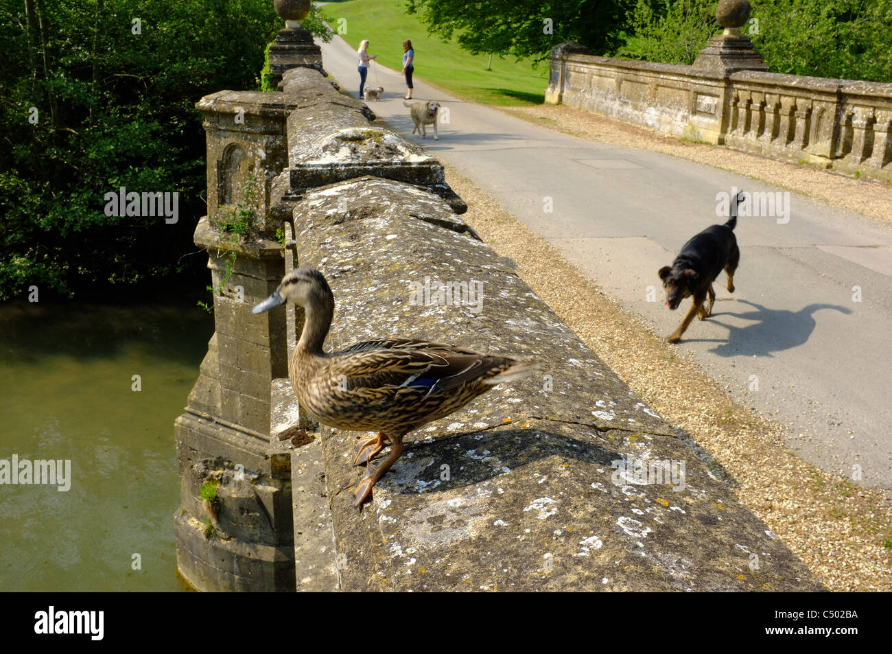 An ornamental bridge on a country estate Stock Photo - Alamy
