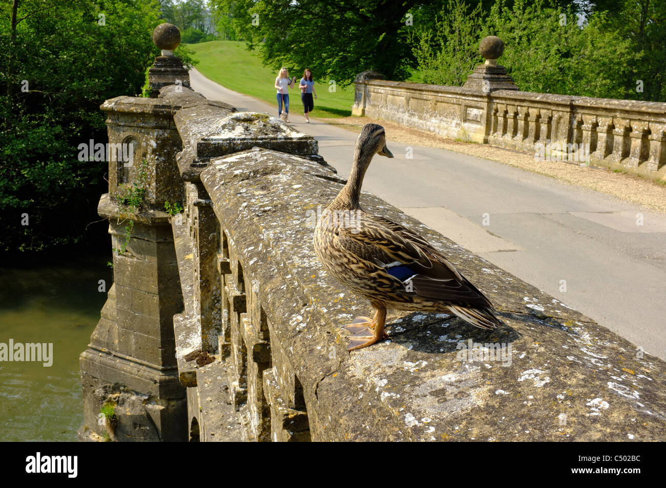 An ornamental bridge on a country estate Stock Photo - Alamy