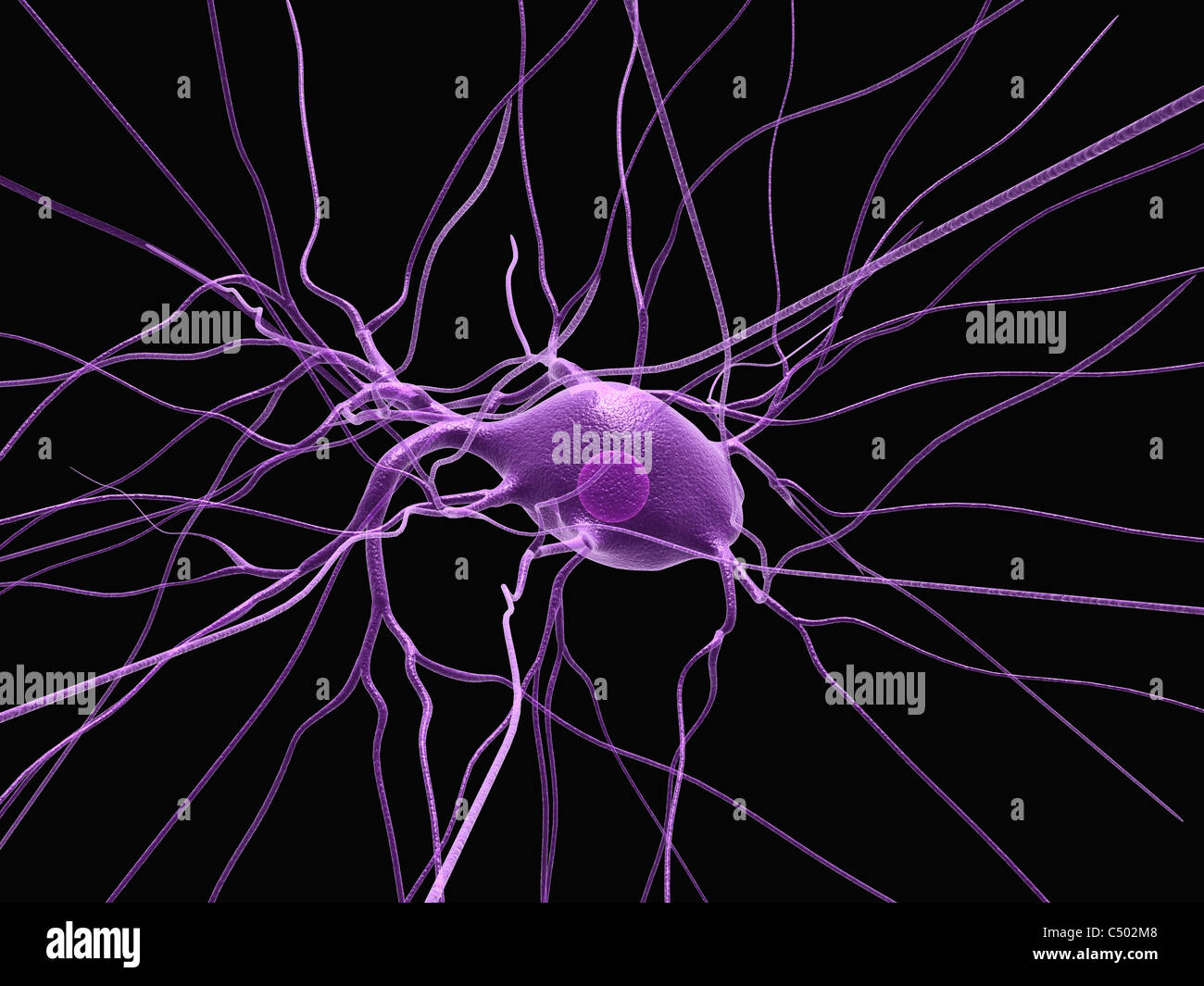 Receptor Cell High Resolution Stock Photography and Images - Alamy