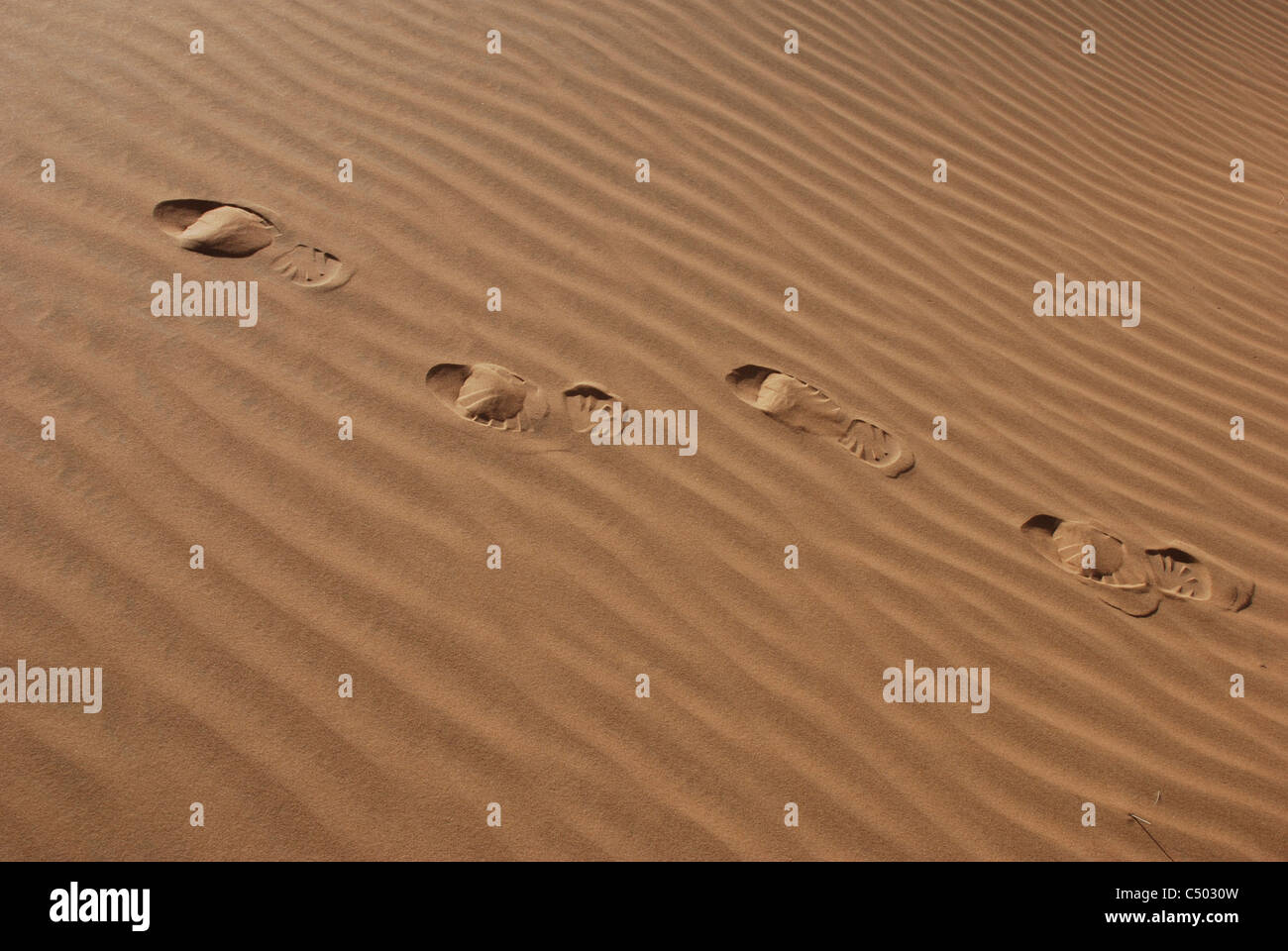 Daytime in desert hi-res stock photography and images - Alamy