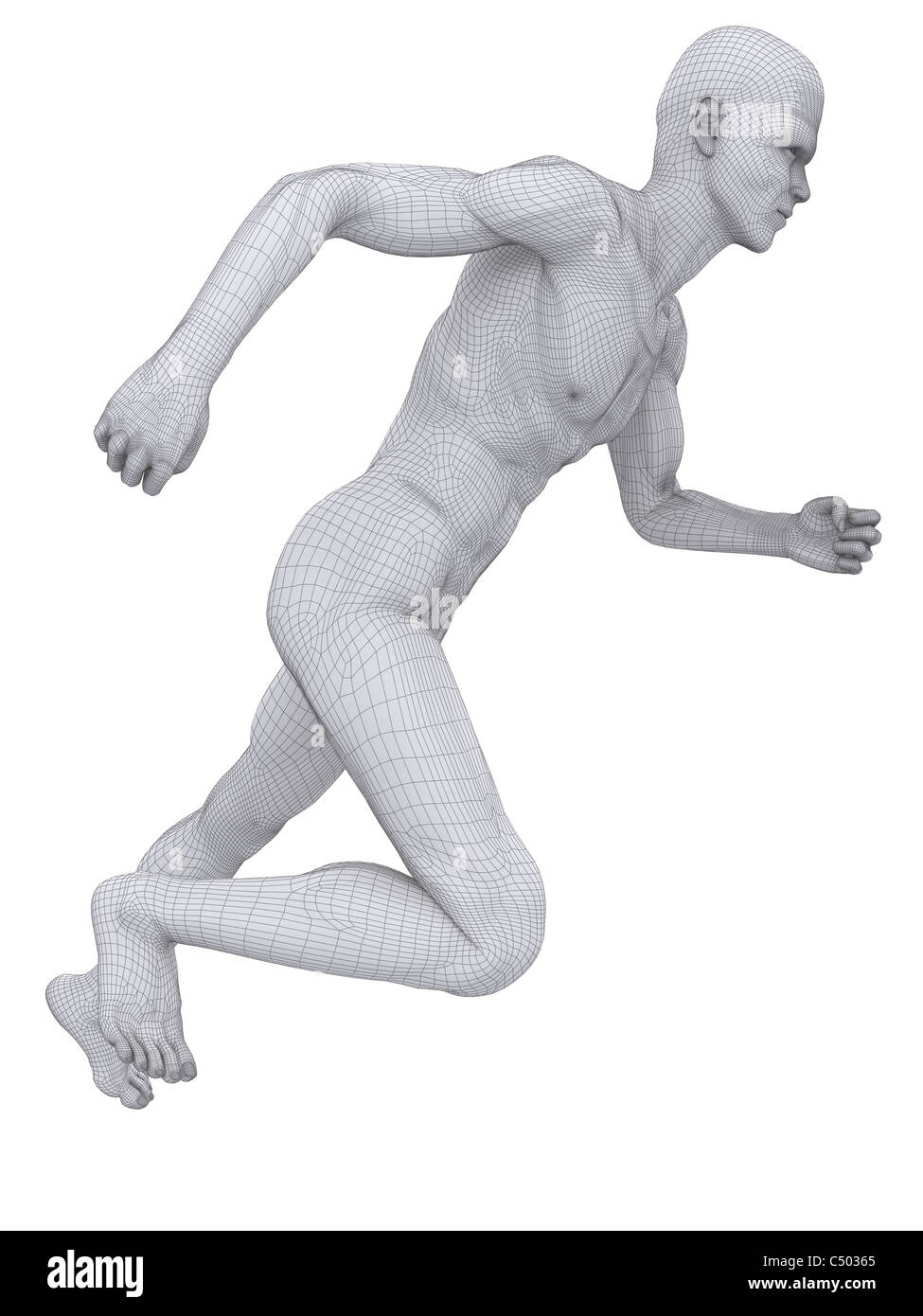 Running man anatomy Cut Out Stock Images & Pictures - Alamy