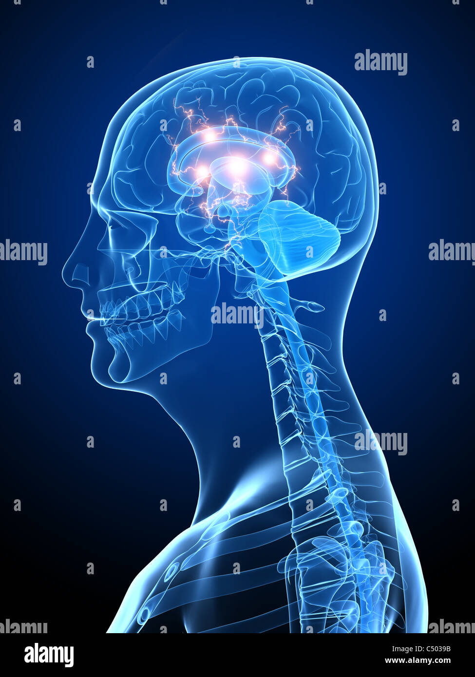 Active hi-res stock photography and images - Alamy