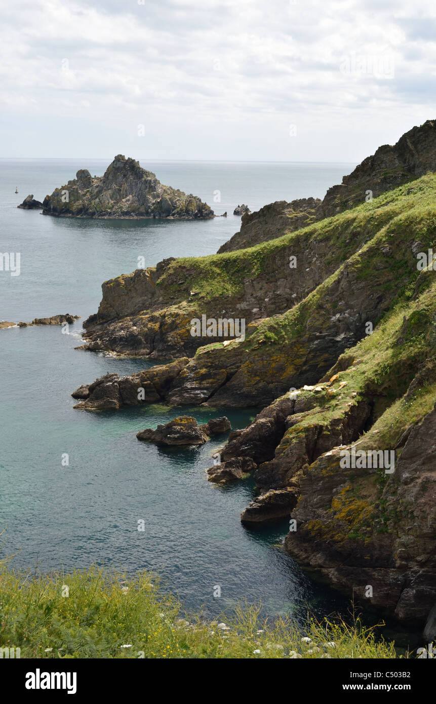 Mew hi-res stock photography and images - Alamy