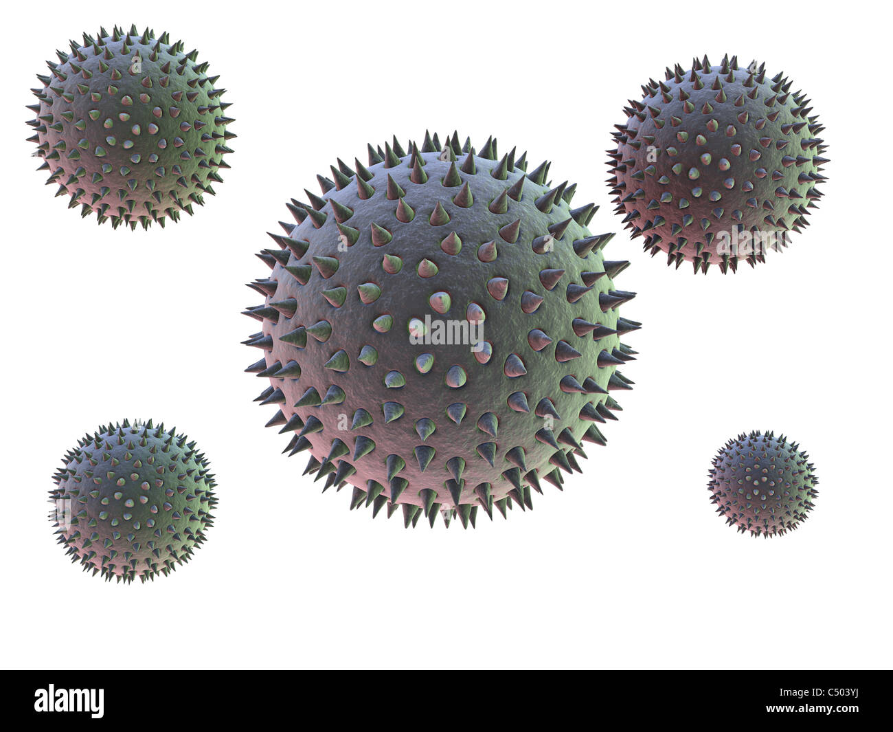 Pollen close up Stock Photo - Alamy