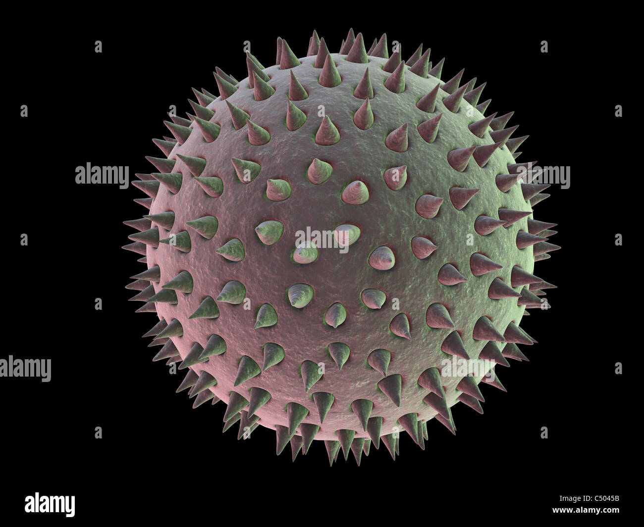Pollen close up Stock Photo - Alamy
