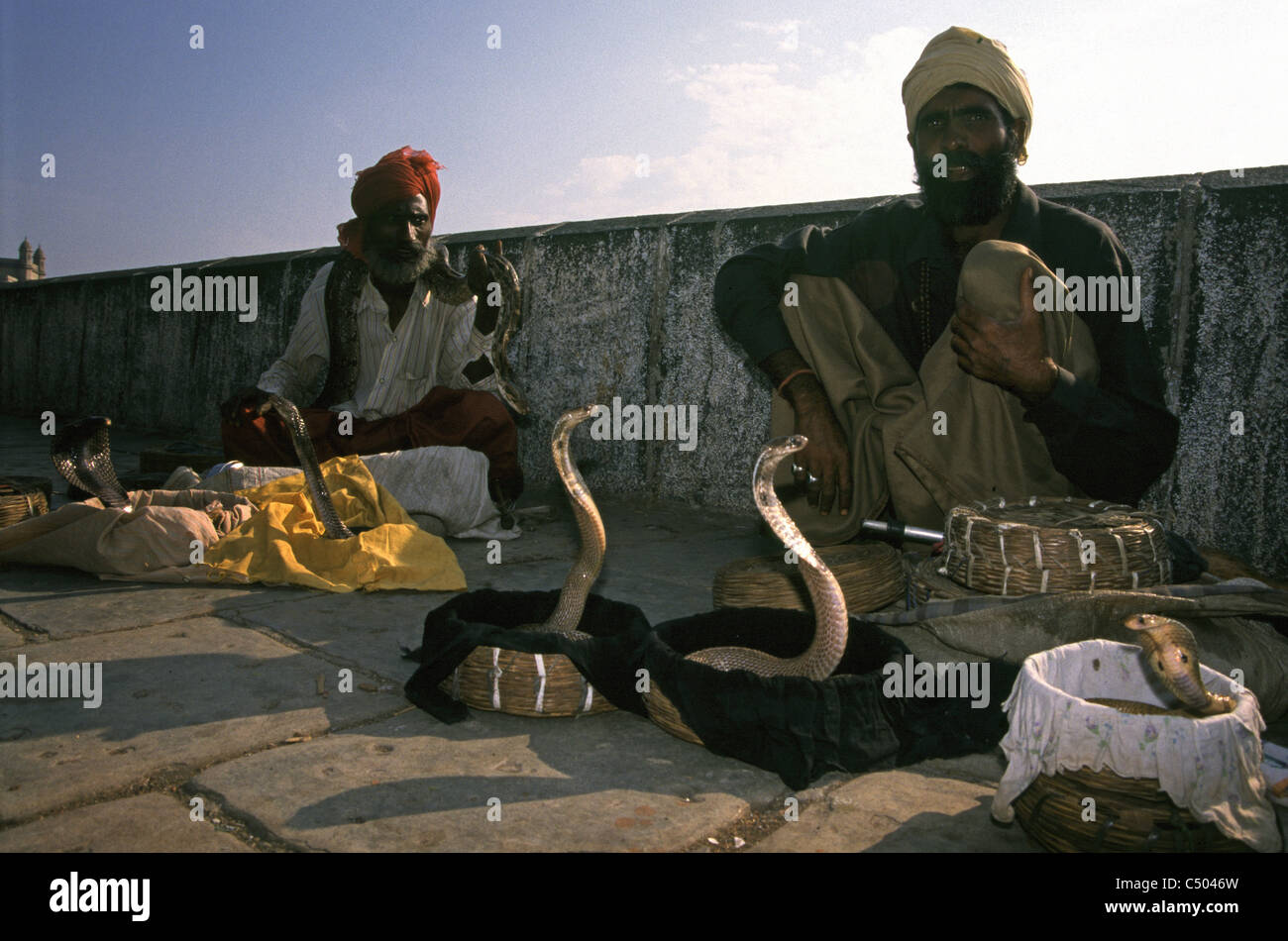 Members of an ancient tribe of snake charmers known as saperas, who ...