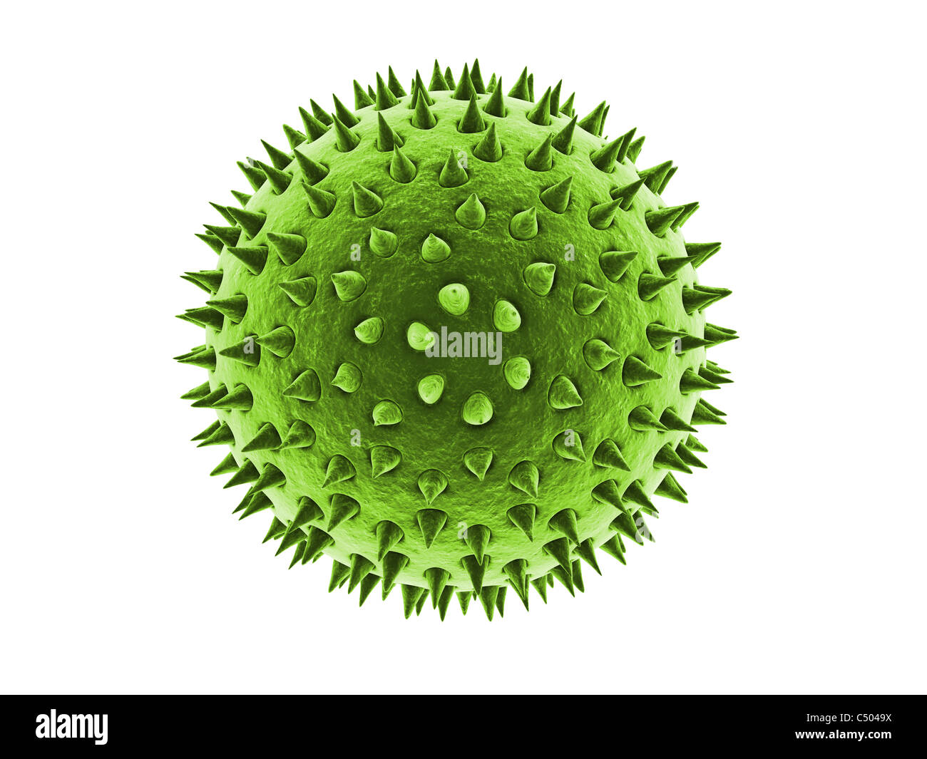 Pollen close up Stock Photo - Alamy
