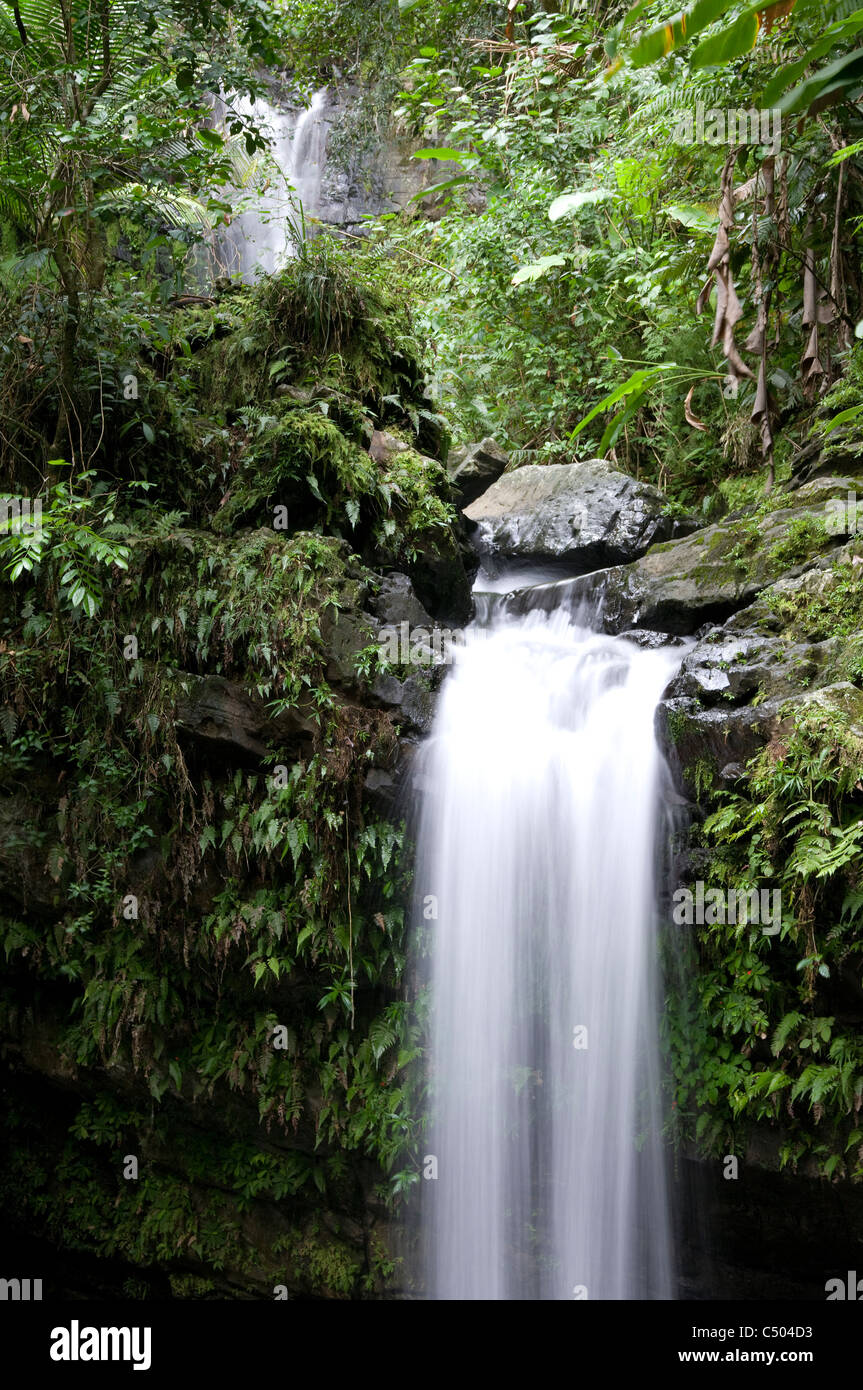 juan diego waterfalls in el yunque national rainforest in puerto rico ...