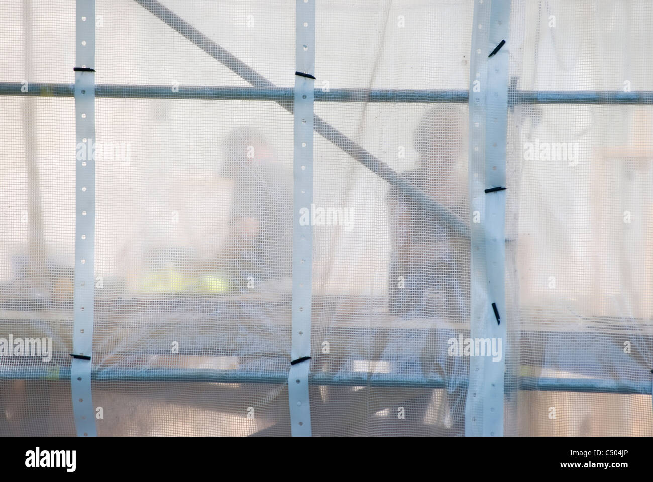 Mesh sheet hi-res stock photography and images - Alamy