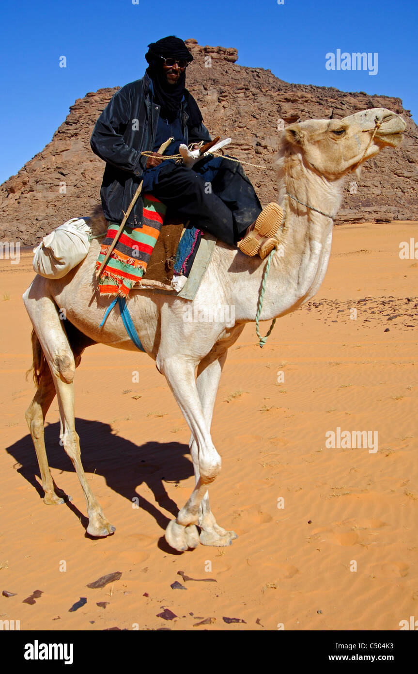 Touareg nomad riding a white Mehari dromedary in the Sahara desert ...