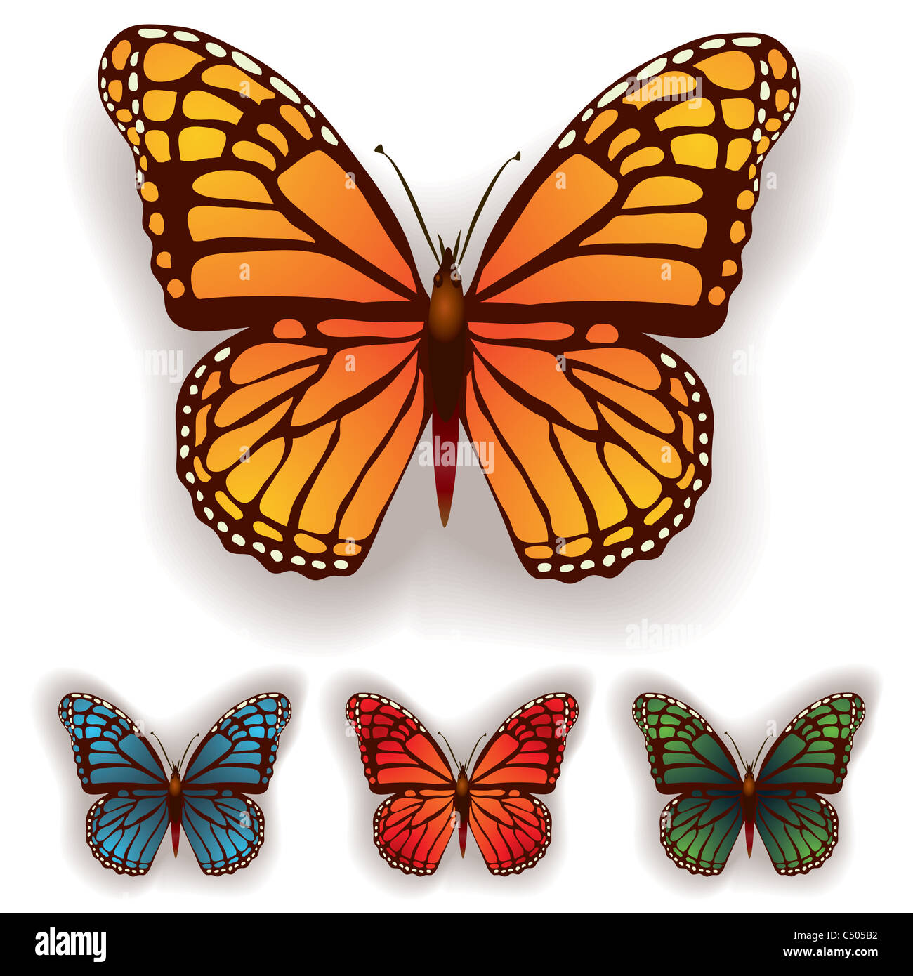 color butterfly isolated on a white background Stock Photo - Alamy