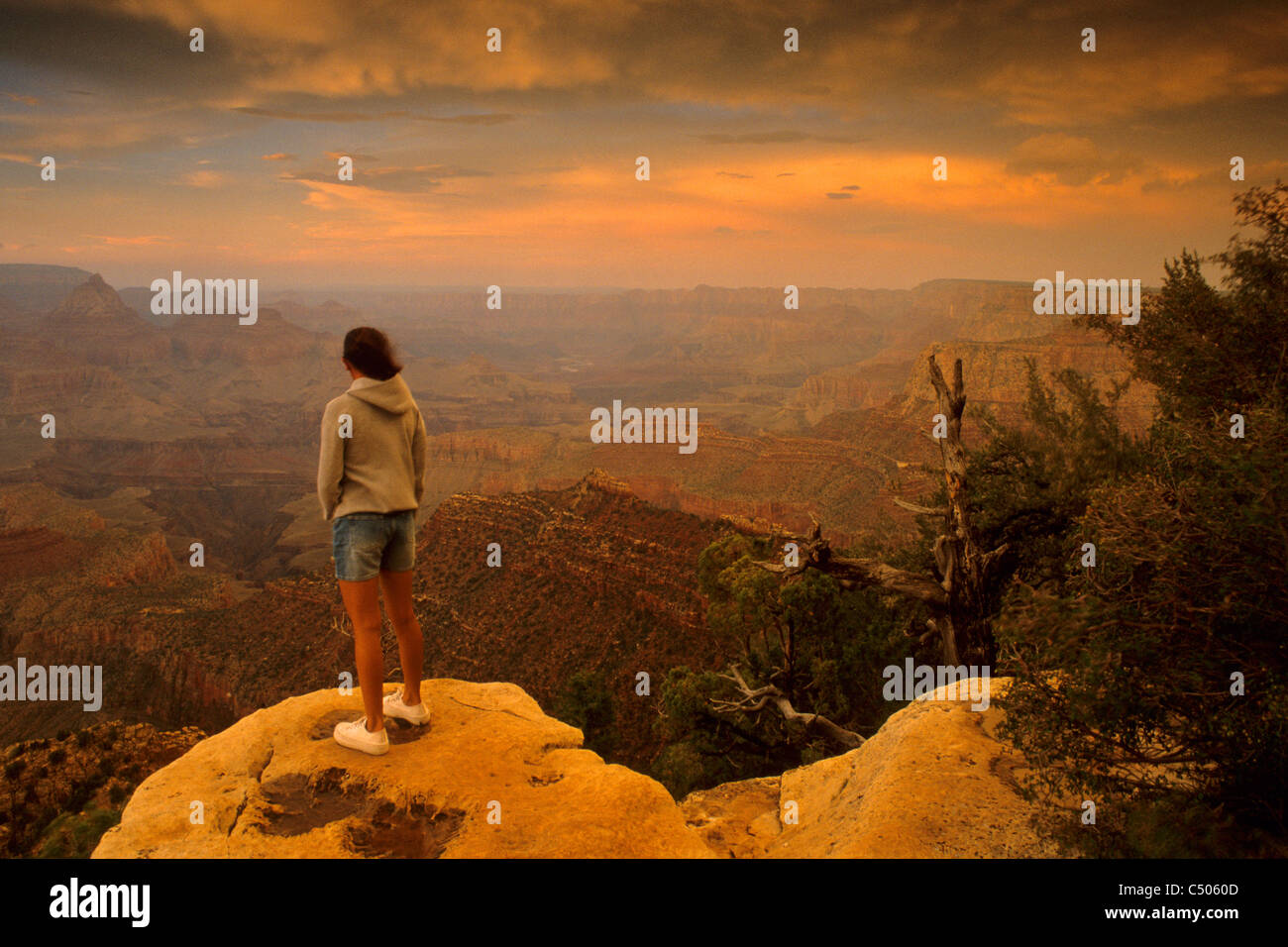 Tourist views sunset at Grand Canyon, from Grandview Point, South Rim ...