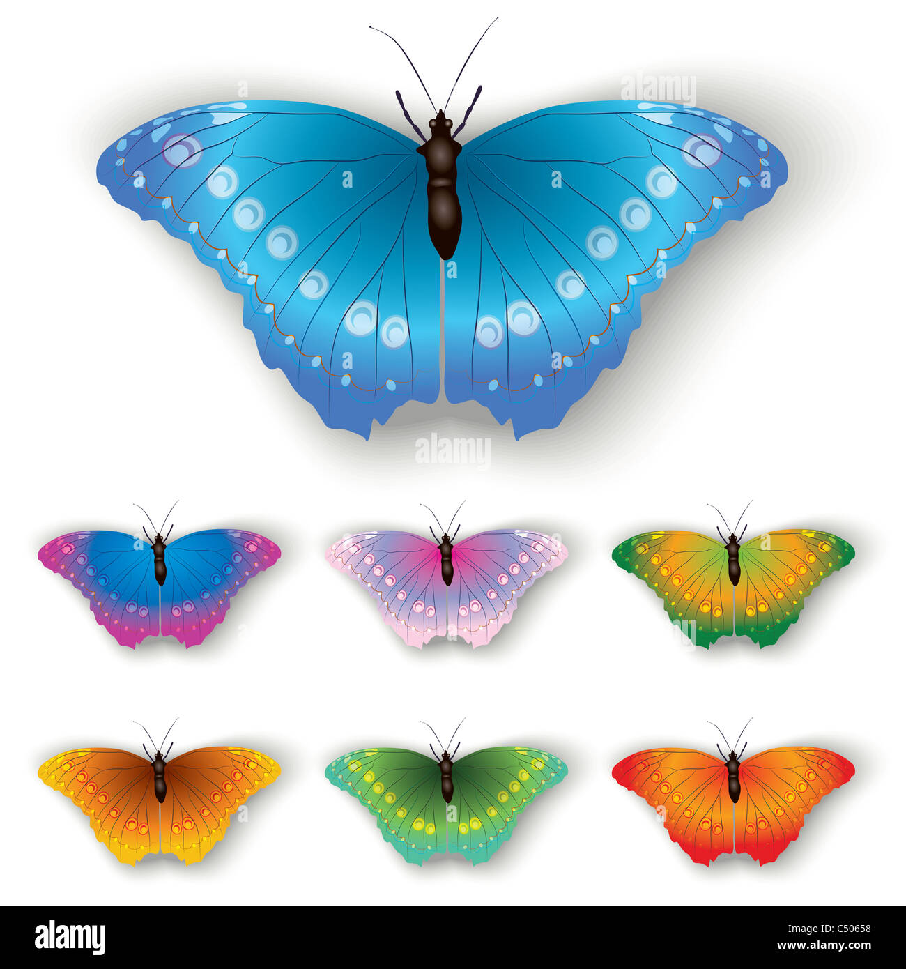 color butterflies isolated on a white background Stock Photo - Alamy