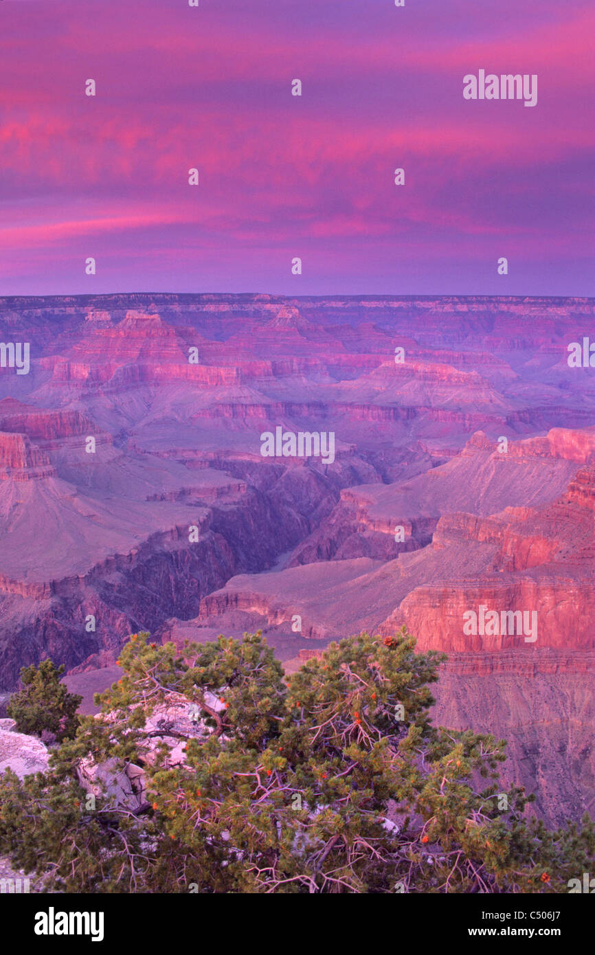 Alpenglow on storm clouds at sunset, Pima Point, South Rim, Grand ...
