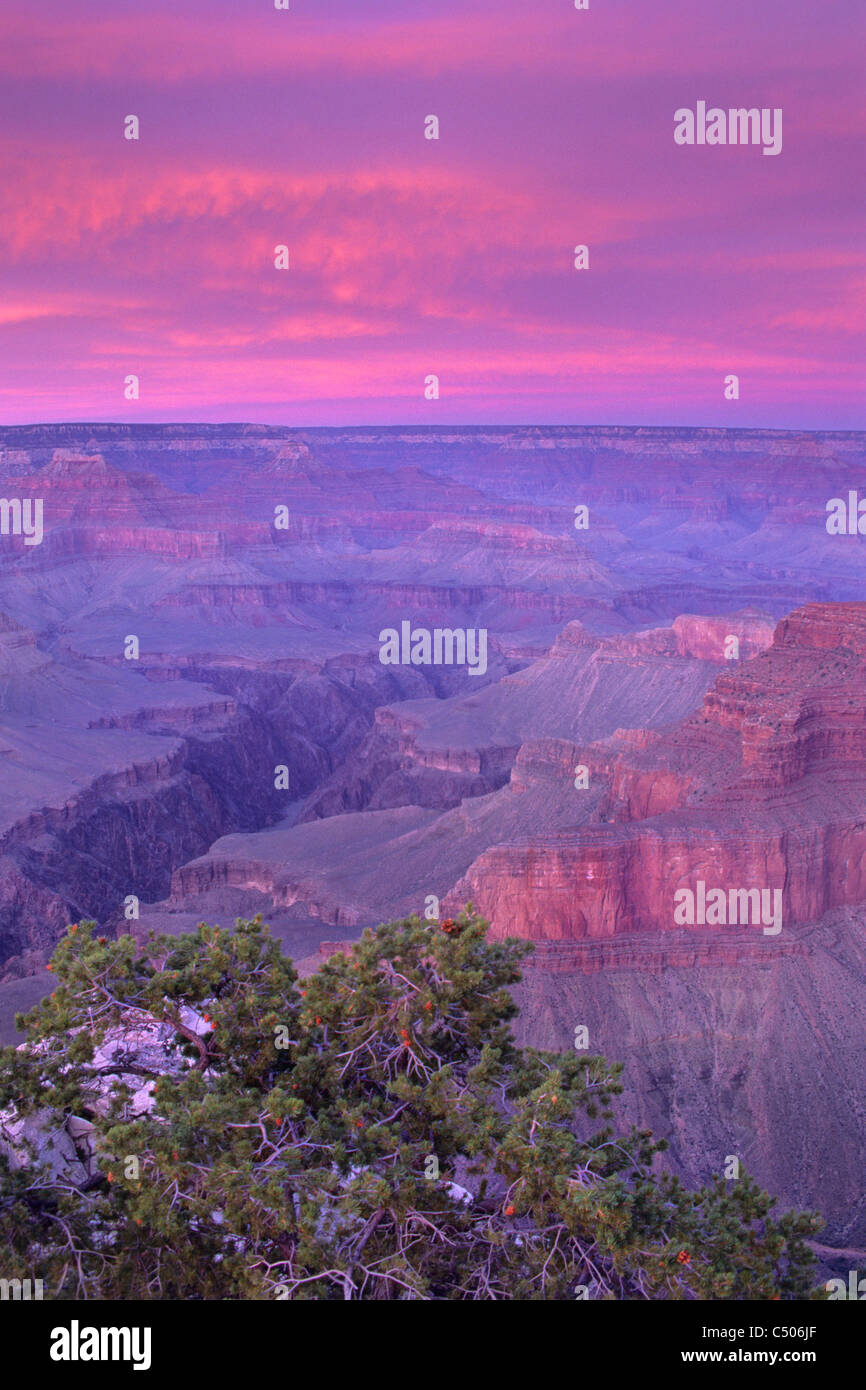 Alpenglow on storm clouds at sunset, Pima Point, South Rim, Grand ...