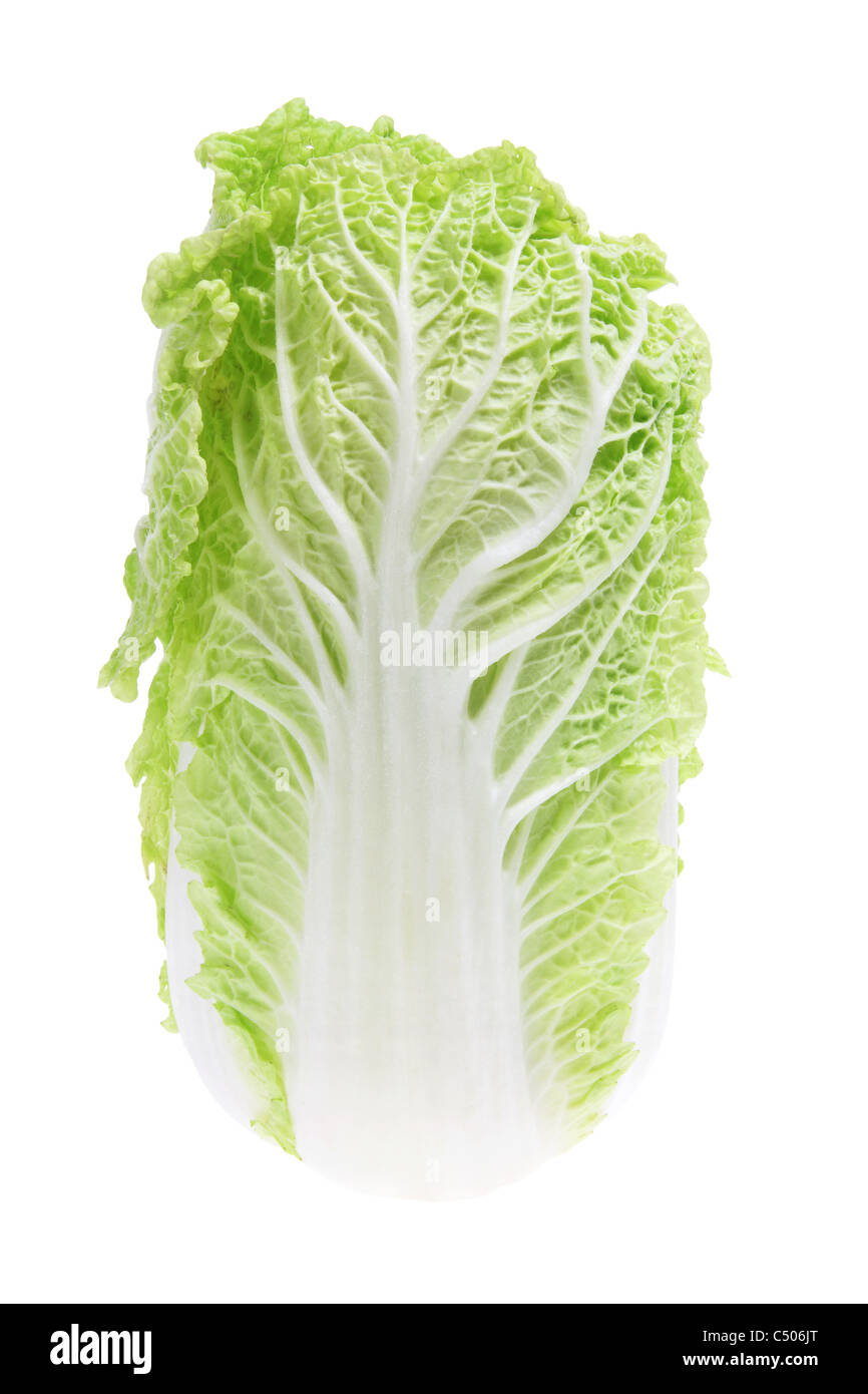 Chinese Cabbage Stock Photo - Alamy