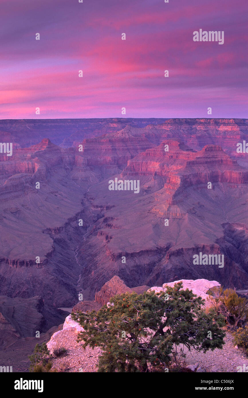 Pima hi-res stock photography and images - Alamy