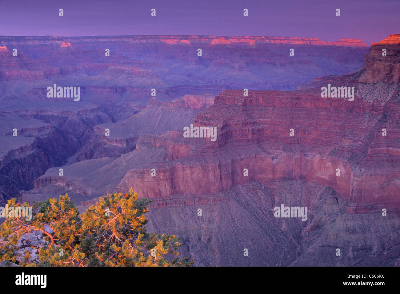 Sunset, Pima Point, South Rim, Grand Canyon; Grand Canyon National Park ...