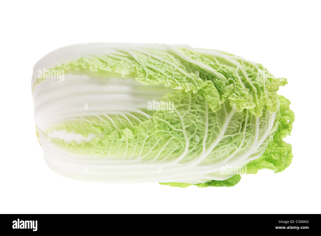 Chinese cabbage cutout hi-res stock photography and images - Alamy