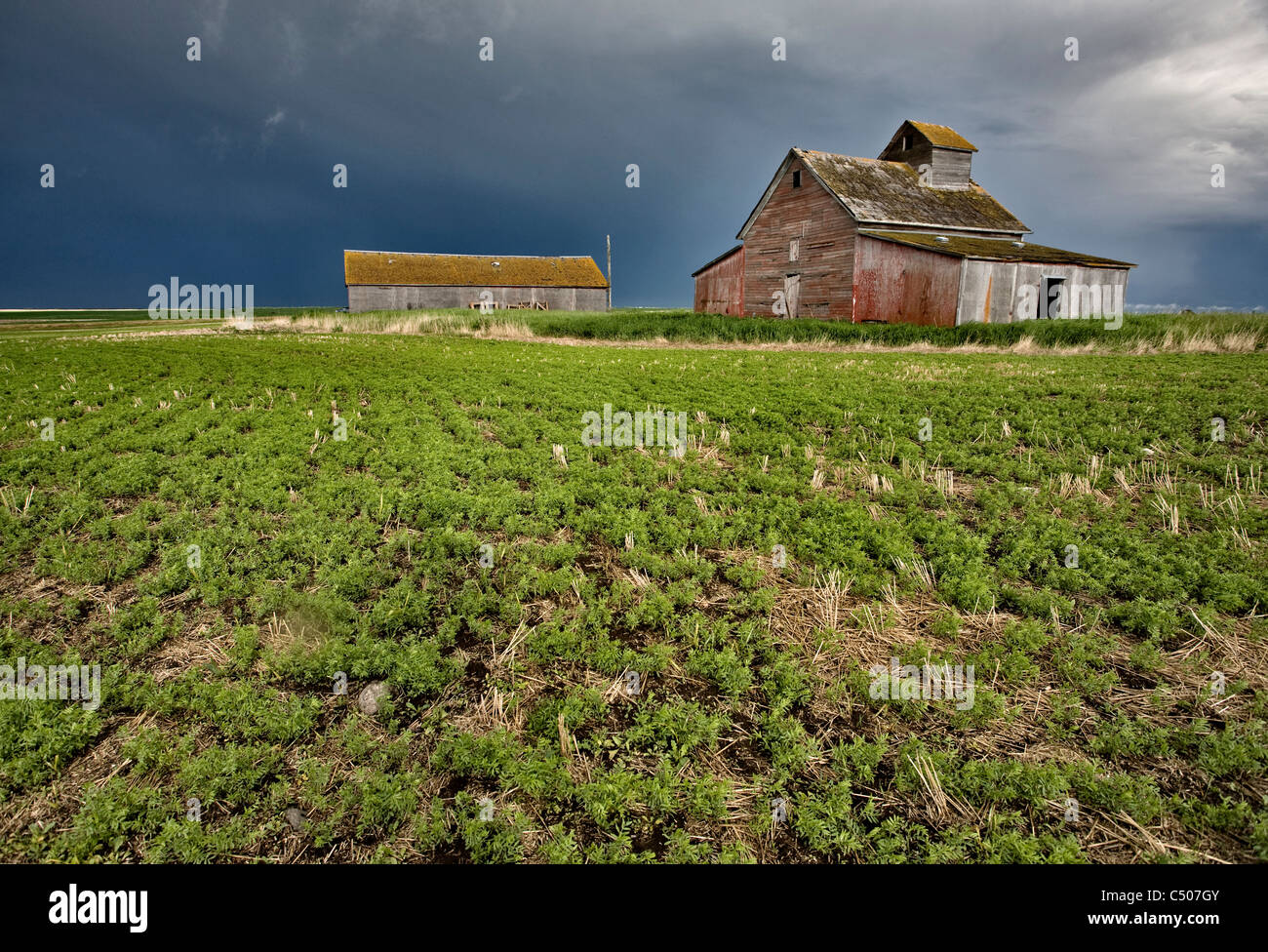 Canadian prairie farm house hi-res stock photography and images - Alamy