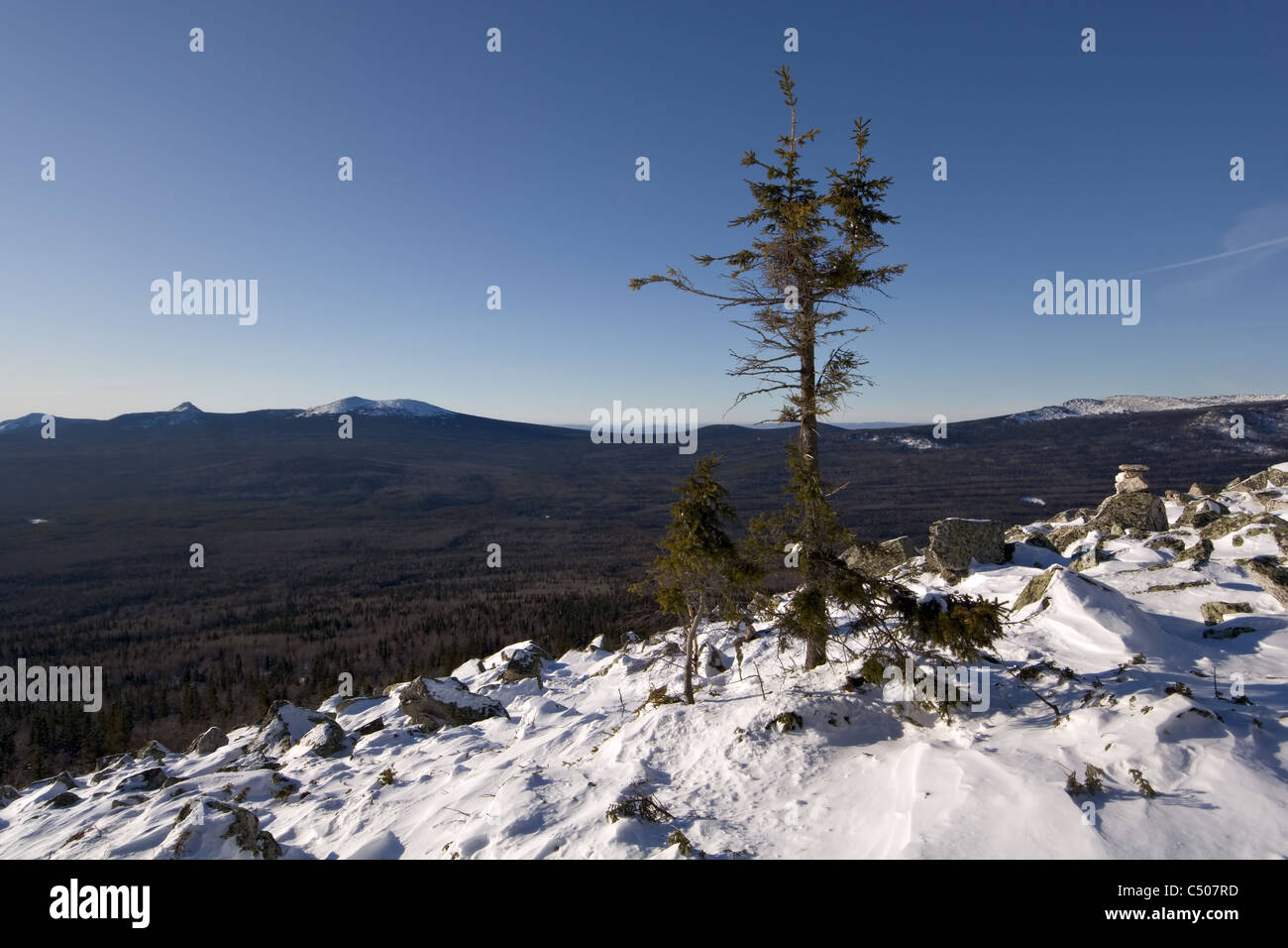 Taiga mountains hi-res stock photography and images - Alamy