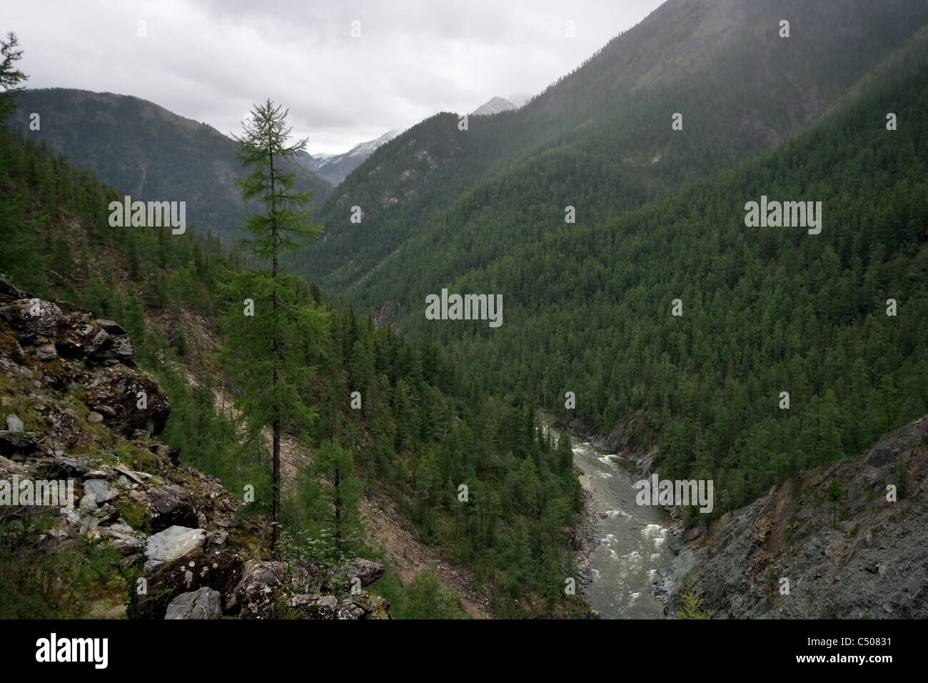 The Kitoy river in valley between Tunkinskie Goltsy and Kitoyskie ...