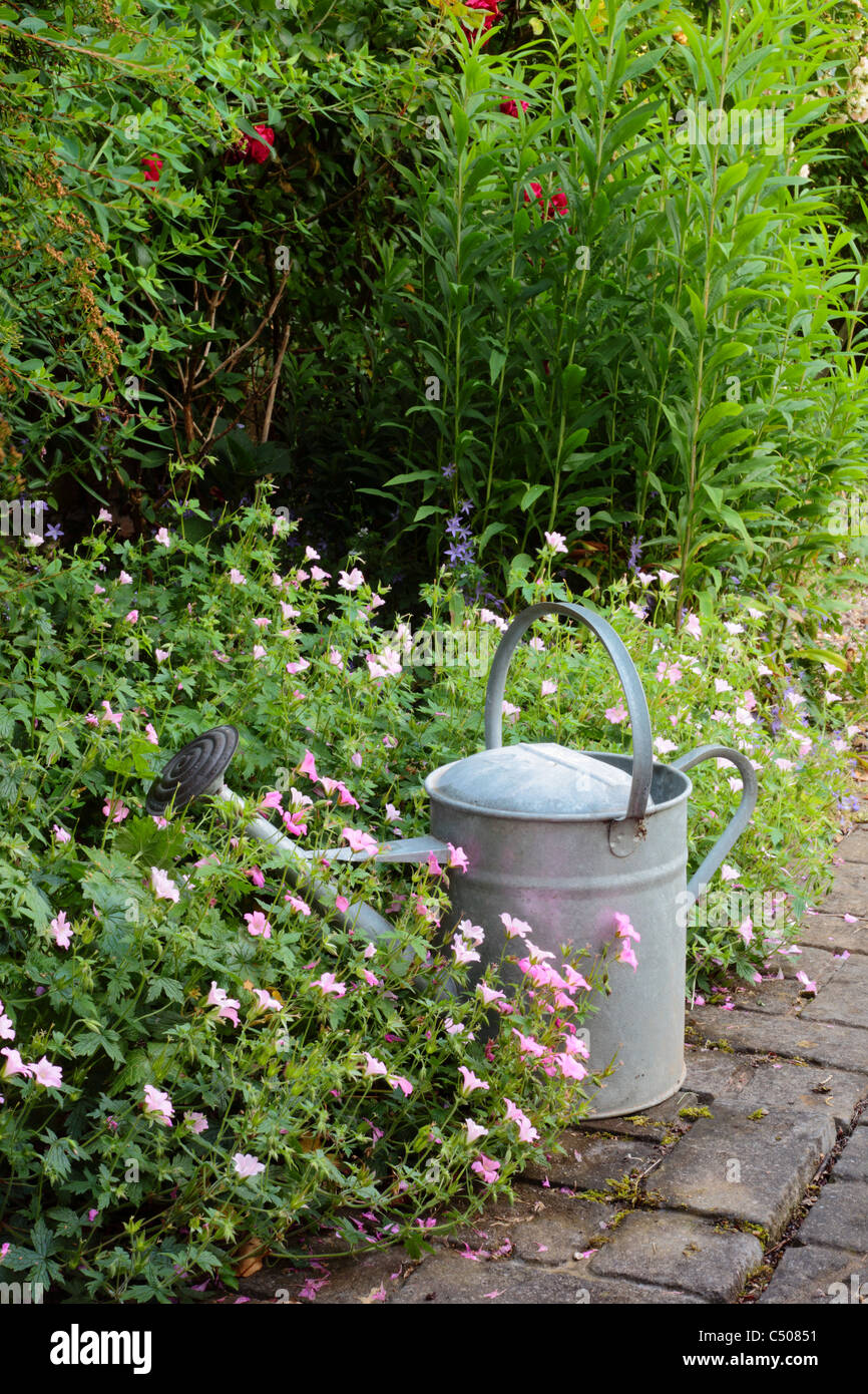 Watering can in a summer garden scene Stock Photo - Alamy