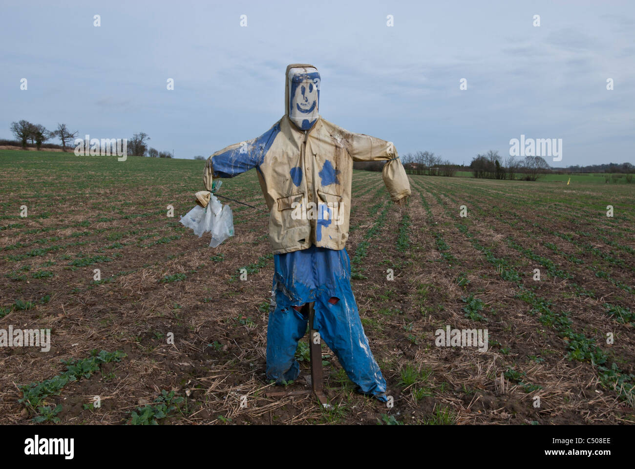 Scarecrow in field in Suffolk Stock Photo - Alamy